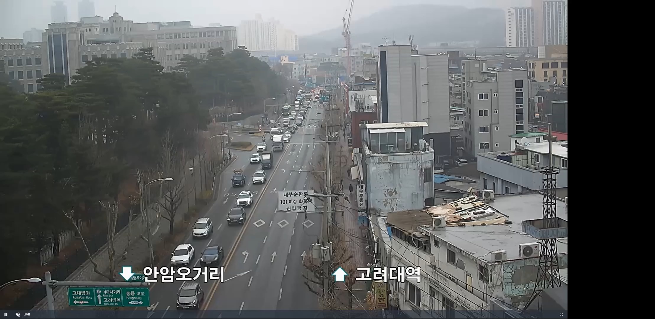 Detect Cctv Object Detection Dataset And Pre Trained Model By Malggulu