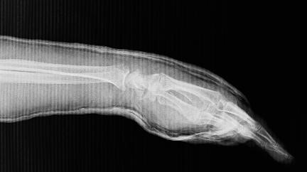 VOLAR TİLT Object Detection Dataset by van yyu