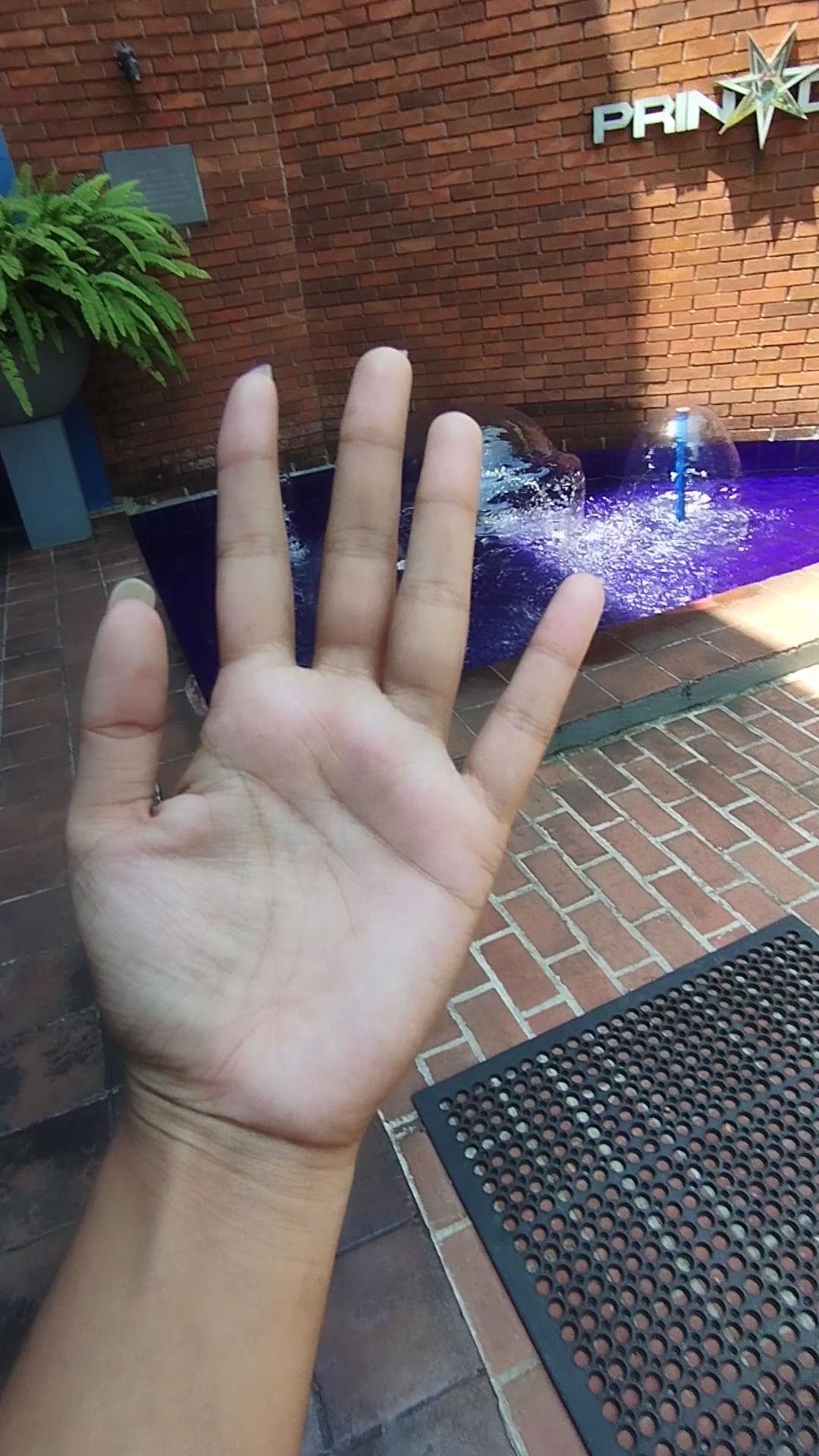 Hand Detection Object Detection Dataset and Pre-Trained Model by AR