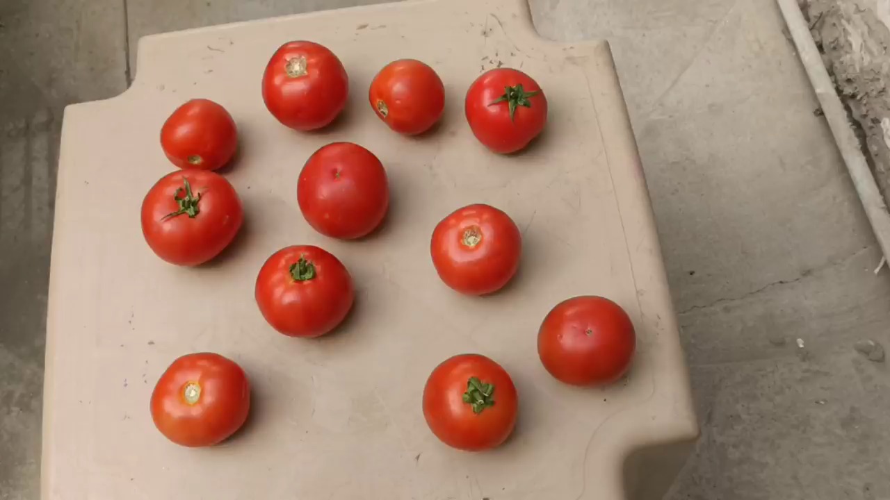 sr Object Detection Dataset by calibration