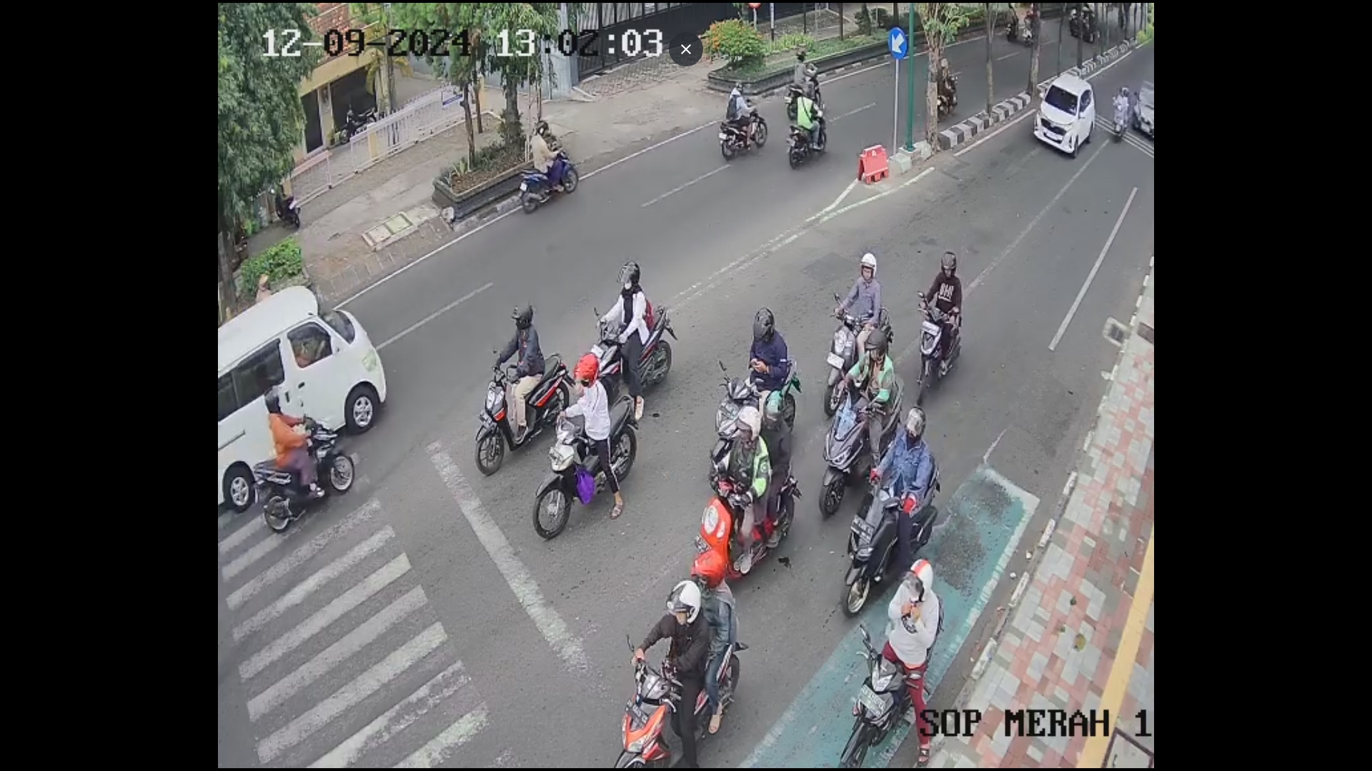 zebra cross TA Object Detection Dataset by image process