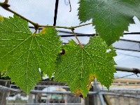 Computer Vision Project Workspace - Roboflow Universe