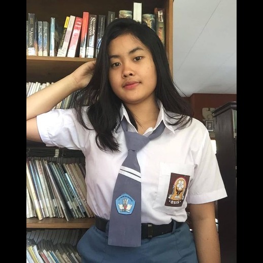 Aplikasi Deteksi Seragam Sekolah Object Detection Dataset And Pre