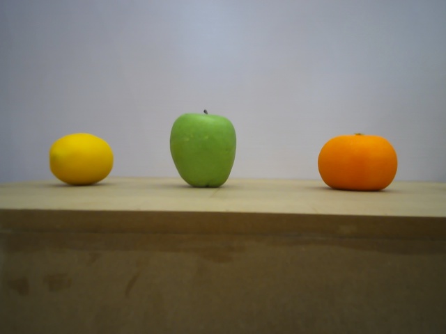 all-fall Object Detection Model by elysian