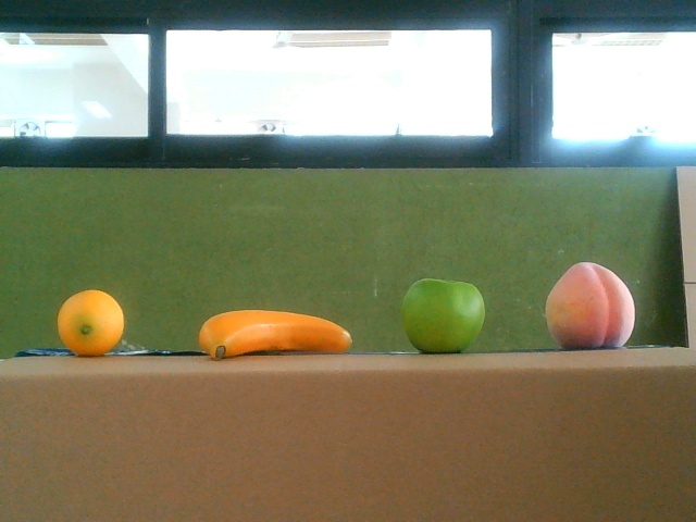 fruit-fall Object Detection Model by elysian