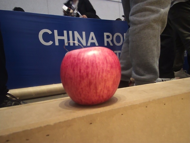 Apple Object Detection Dataset by elysian