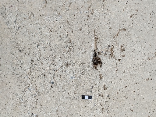 'Spalling' Instance Segmentation Dataset by DAmage annotation