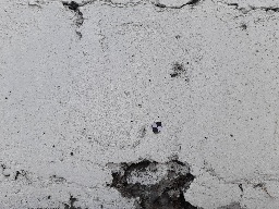 spalling 3 Instance Segmentation Dataset by DAmage annotation