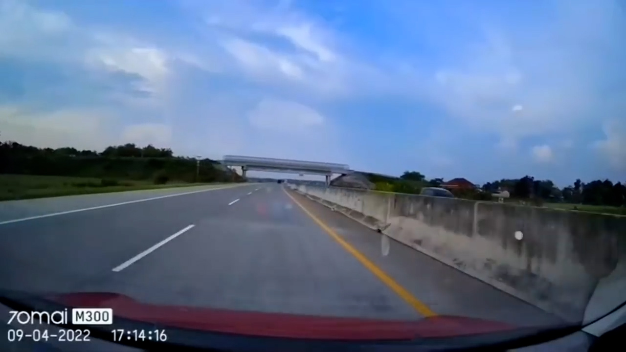 check_model Object Detection Dataset and Pre-Trained Model by TechDeveloper