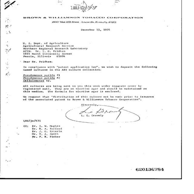 Signdetection Object Detection Model By Wfwidizmowork