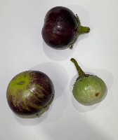 Machine Vision Learning - Roboflow Universe