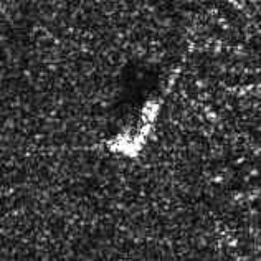 Mydata Object Detection Dataset by mydata