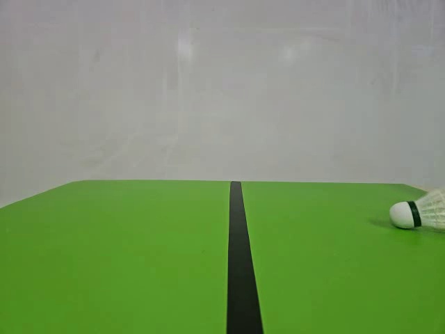 eagle eye Object Detection Dataset and Pre-Trained Model by project-ebqig