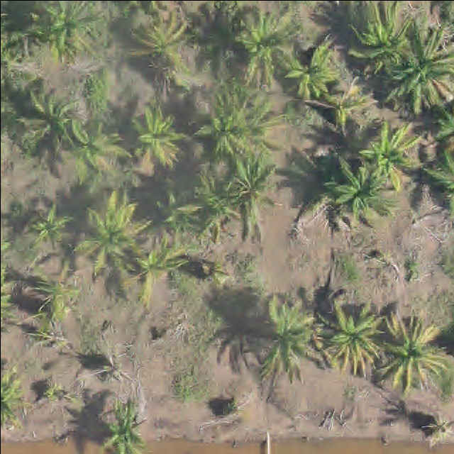 Palm Detection Object Detection Dataset by Bayu Els