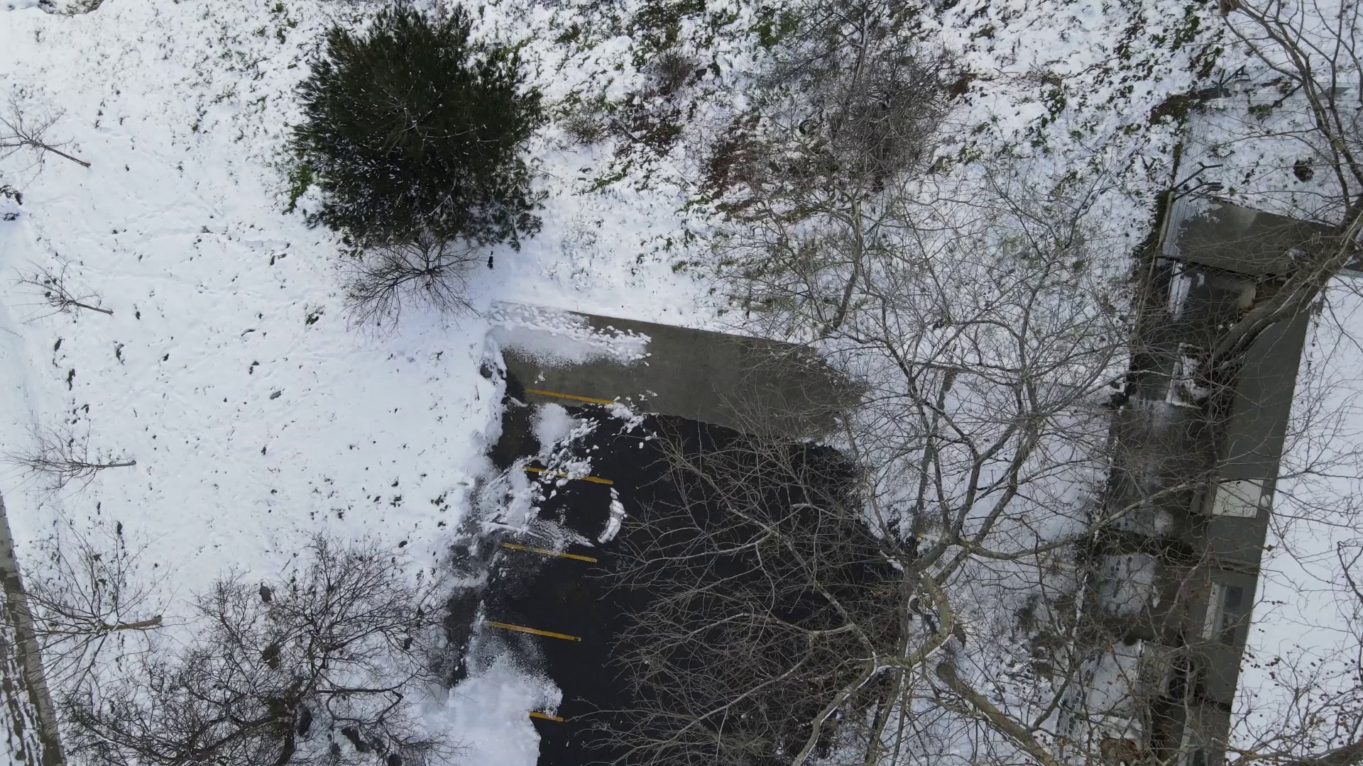 Labeling Object Detection Dataset by irem