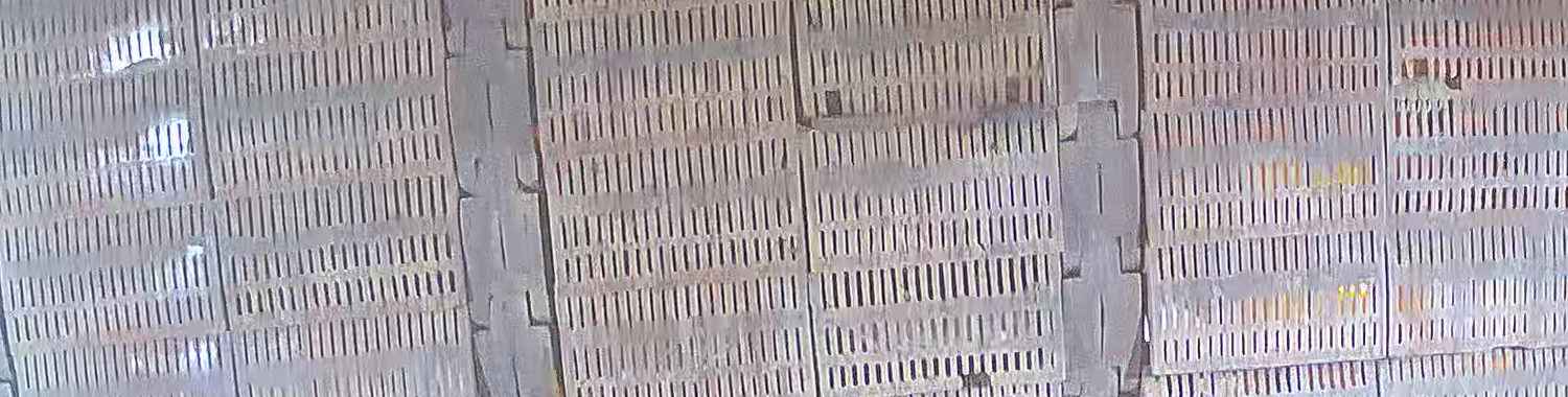 Complate Object Detection Dataset By Freelancer 3366