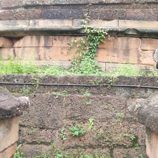 Jiaxuan Su (jiaxuan-su-yfggy) - Roboflow Universe