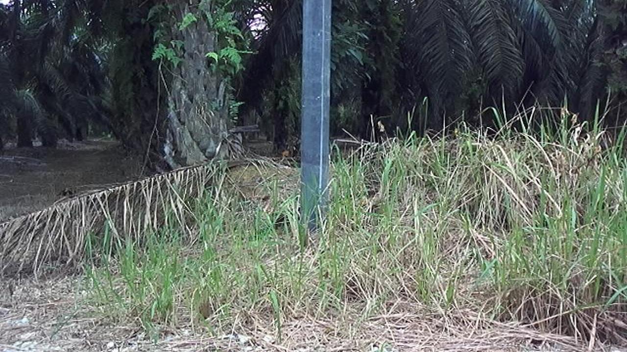 Regnar Segmentation 1 - Roboflow Universe