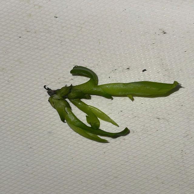 full_object_augmentation Instance Segmentation Dataset by worksplace