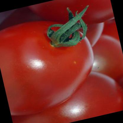 tomato ripeness Object Detection Dataset by Ylli