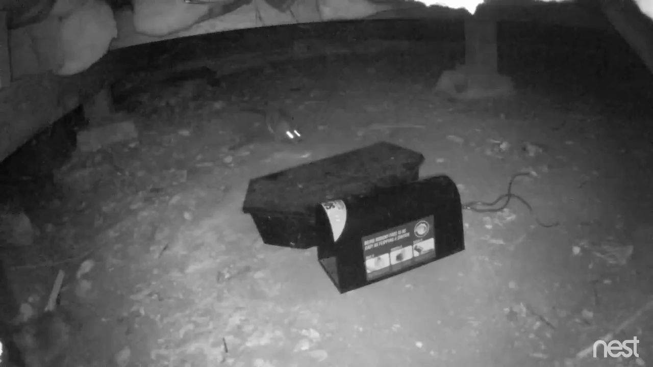 Mouse Finder Object Detection Dataset by brt2