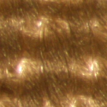 tex-test Instance Segmentation Dataset by texgraduate