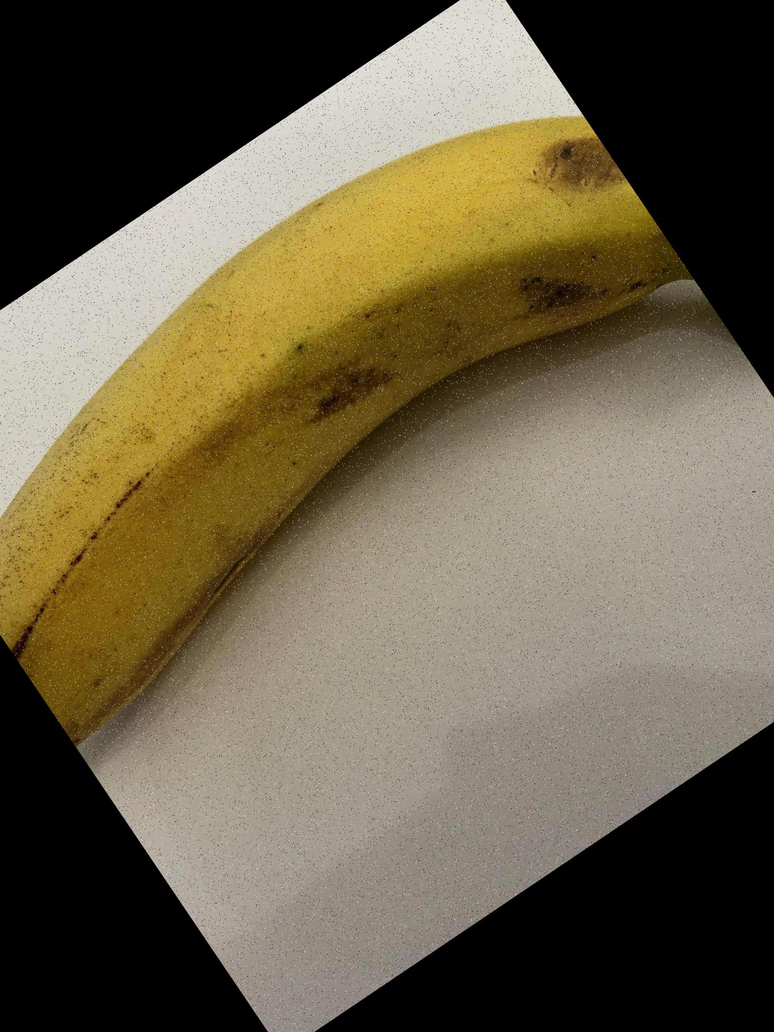 Kitchen Waste Segregation v1.0 Object Detection Dataset and Pre-Trained Model by Kitchen Waste ...