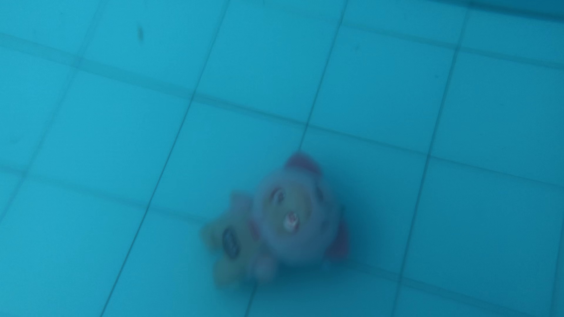 teddy bear underwater Object Detection Dataset and Pre-Trained Model by ...