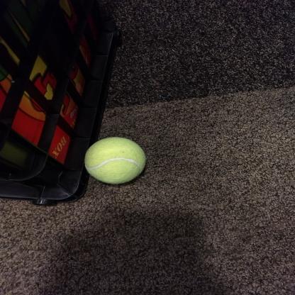 tennis Object Detection Model by hfjhg