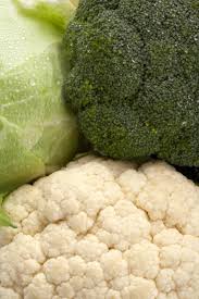 Cabbage Cauliflower Broccoli Object Detection Dataset and Pre-Trained Model by CXD