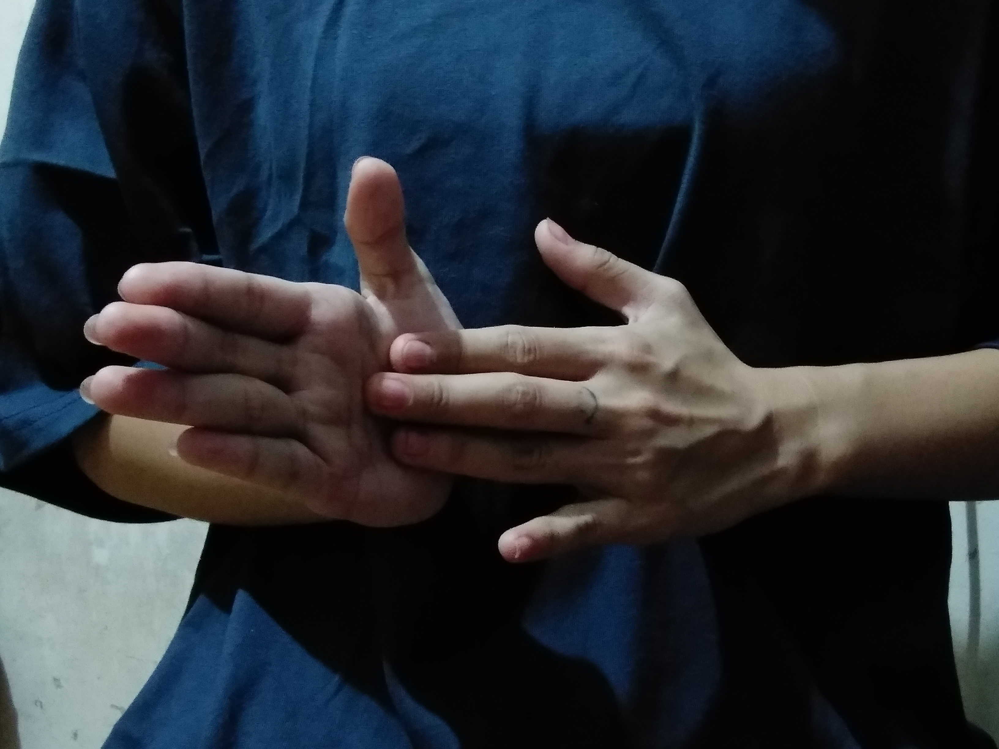 Hand Gestures Object Detection Dataset by my project