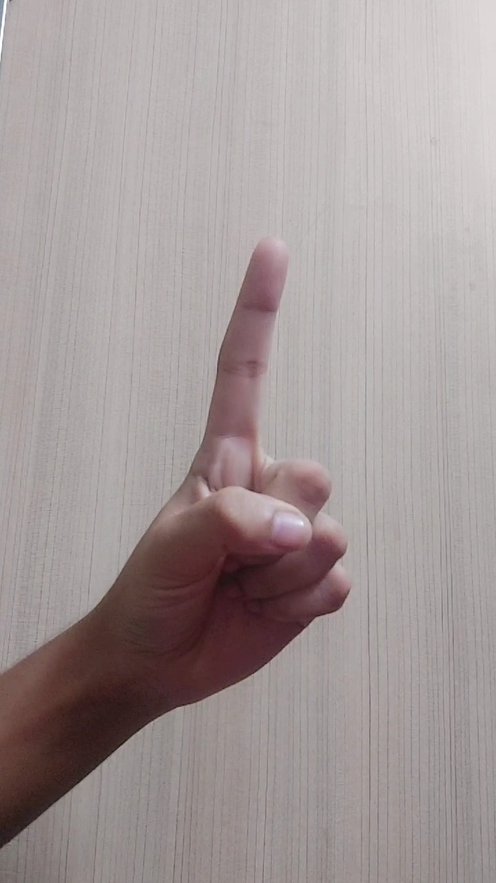 hand gestures Object Detection Dataset by CV AI