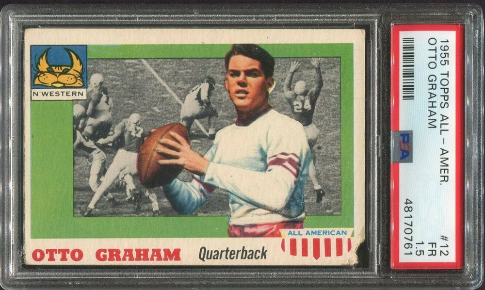 sfdg Instance Segmentation Dataset and Pre-Trained Model by pavan