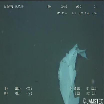 ahad (ahad-6x7pj) - Roboflow Universe