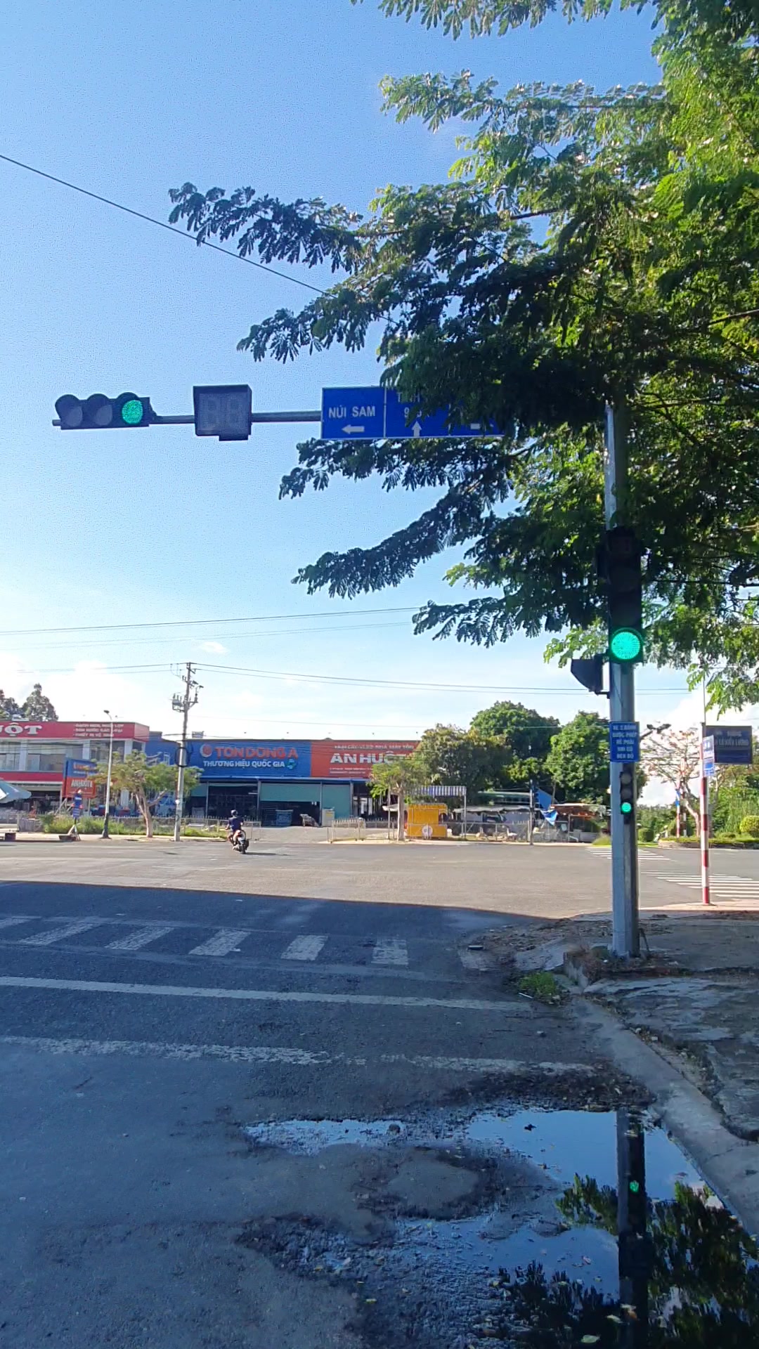 How to Use the Classi Classification API