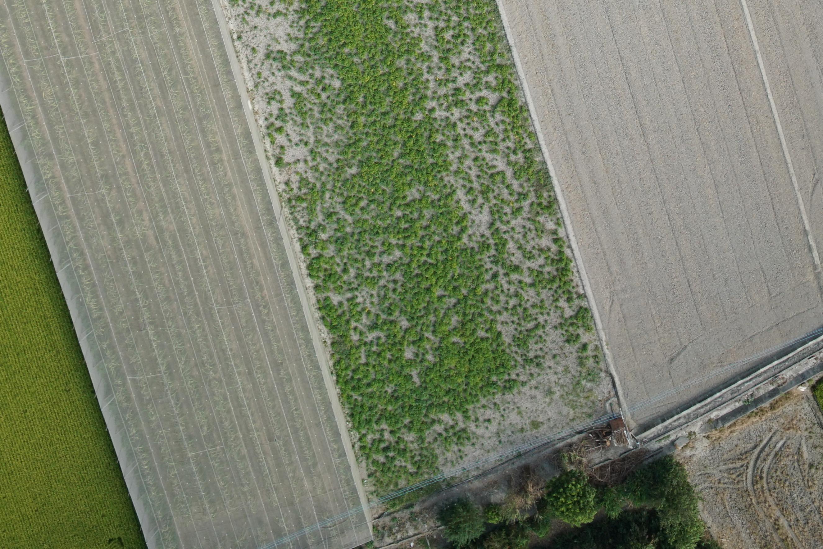 satellite_2 Instance Segmentation Dataset by project-3dfsd