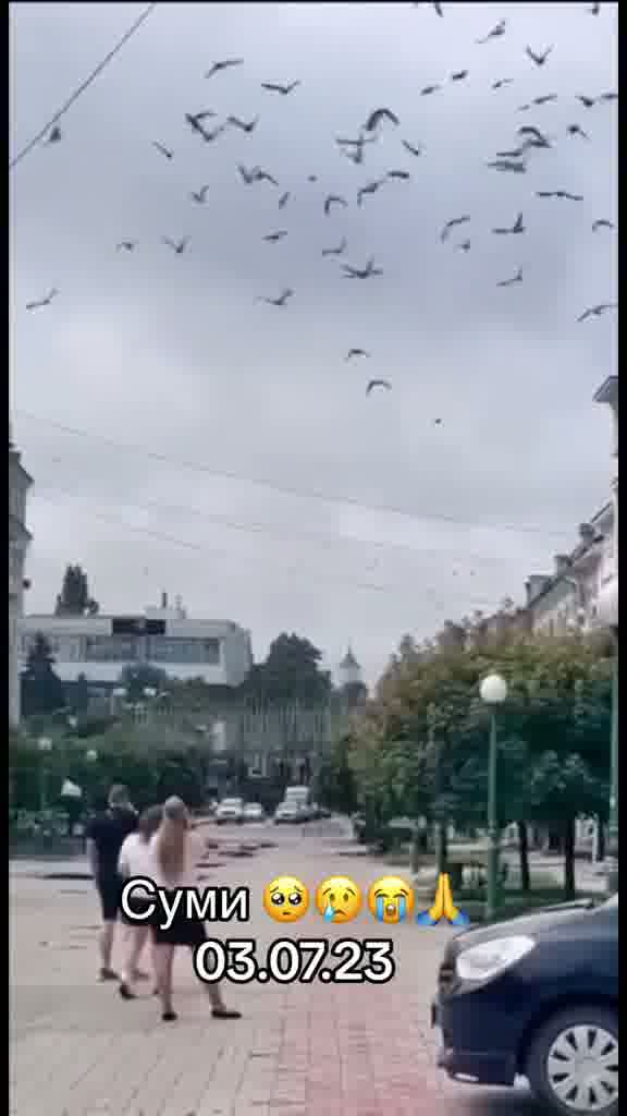 Shizer - Roboflow Universe