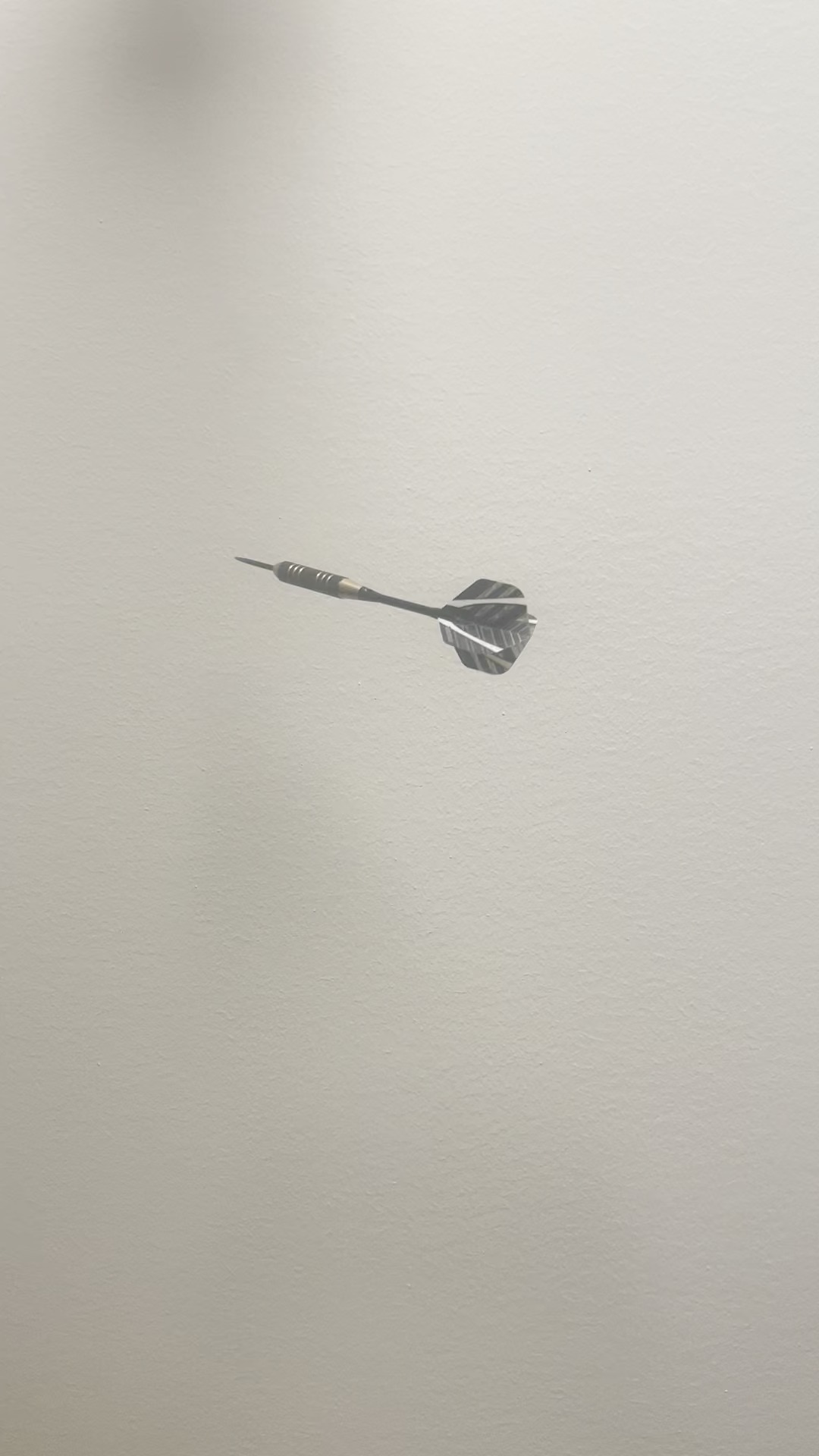 Dart Seg Instance Segmentation Dataset by Max Wesel