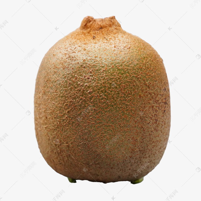 fruits Instance Segmentation Dataset by Deeplearninghw