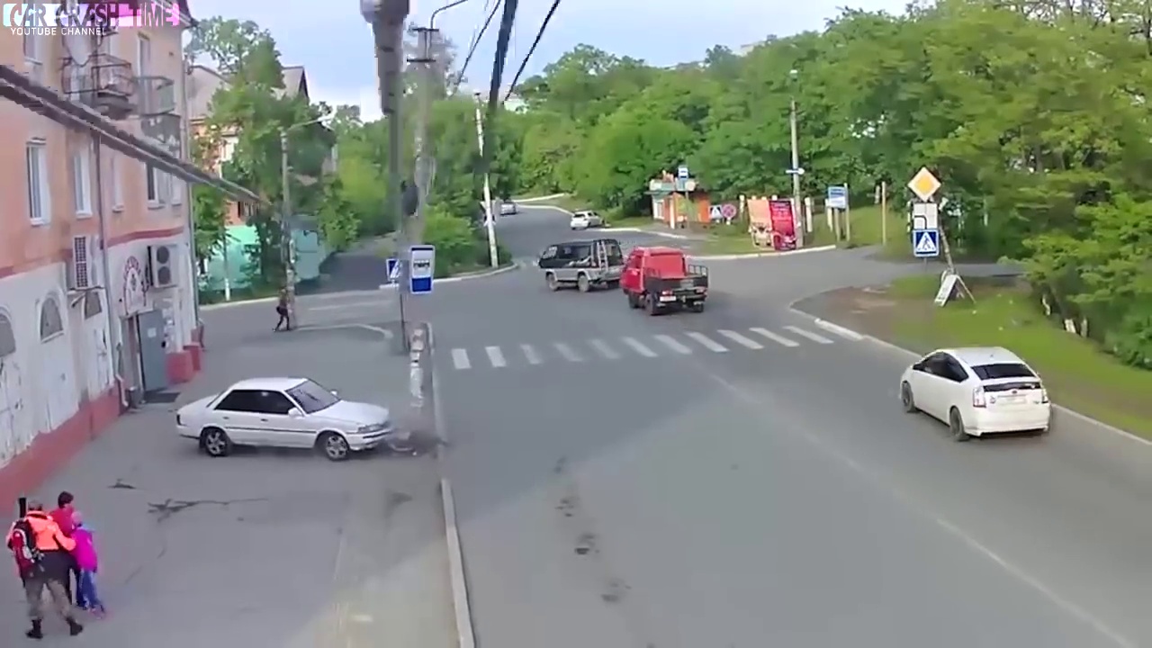 How to Use the RADARR Instance Segmentation API