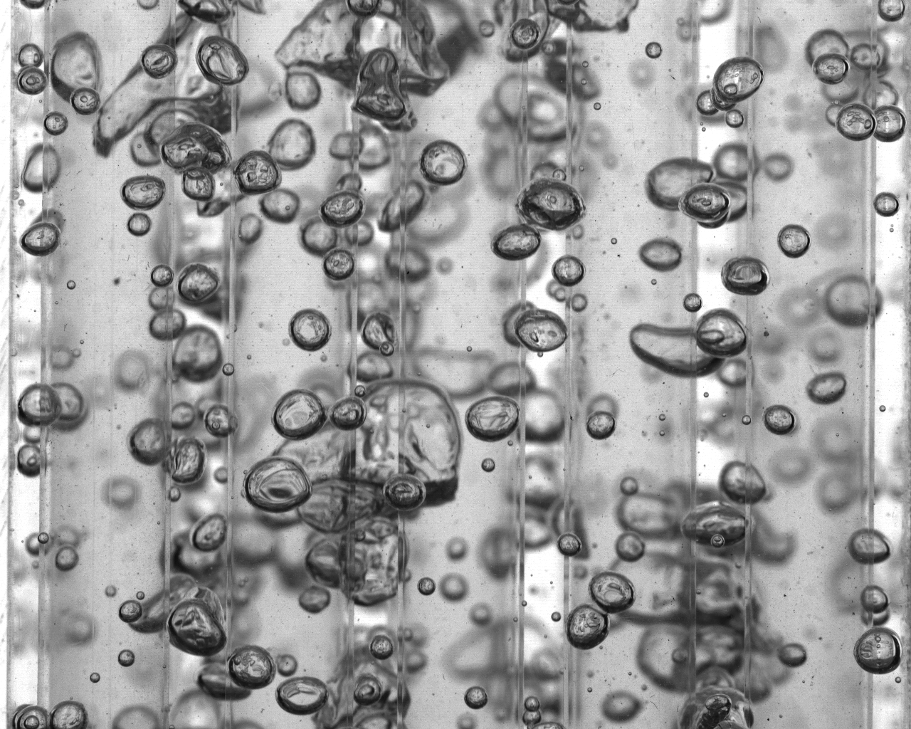 Bubbles Detection 2 Object Detection Dataset By Bubbles