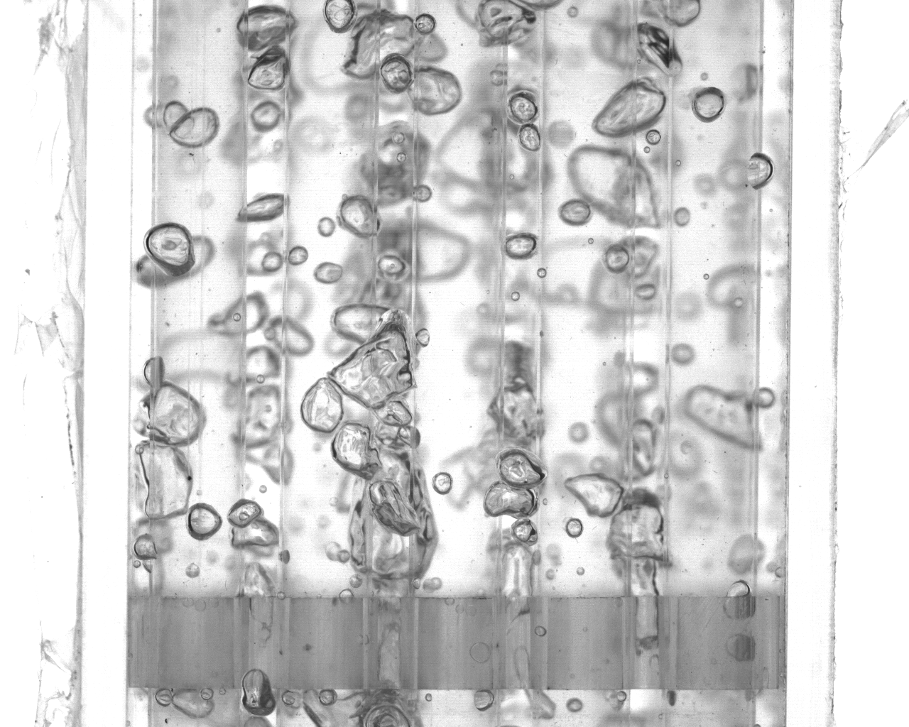 Bubbles Detection 2 Object Detection Model by Bubbles