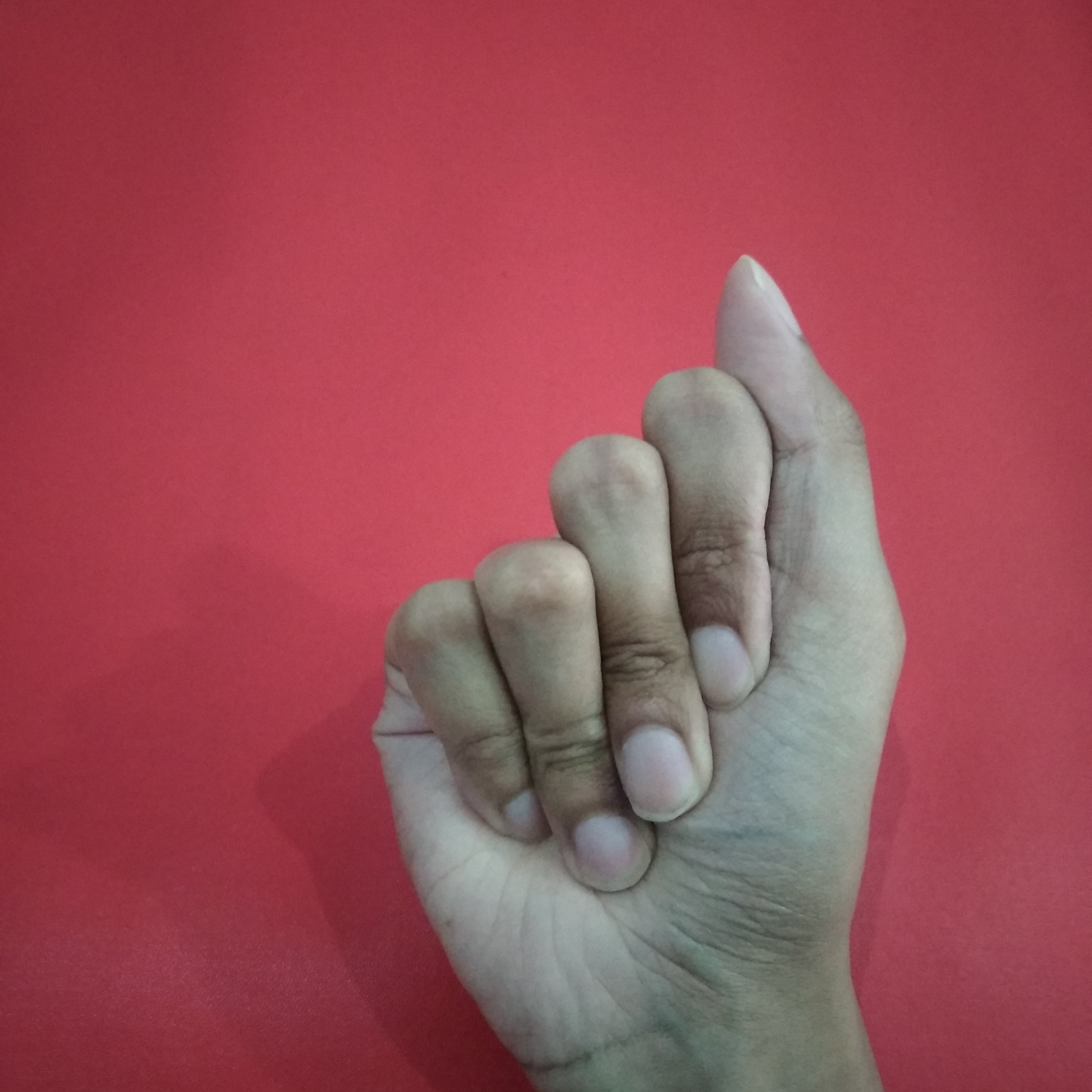 Sibi Translator Object Detection Dataset V1 2023 12 14 10 38pm By Sibi Transalator