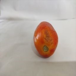 tomato quality classifier Classification Dataset and Pre-Trained Model ...