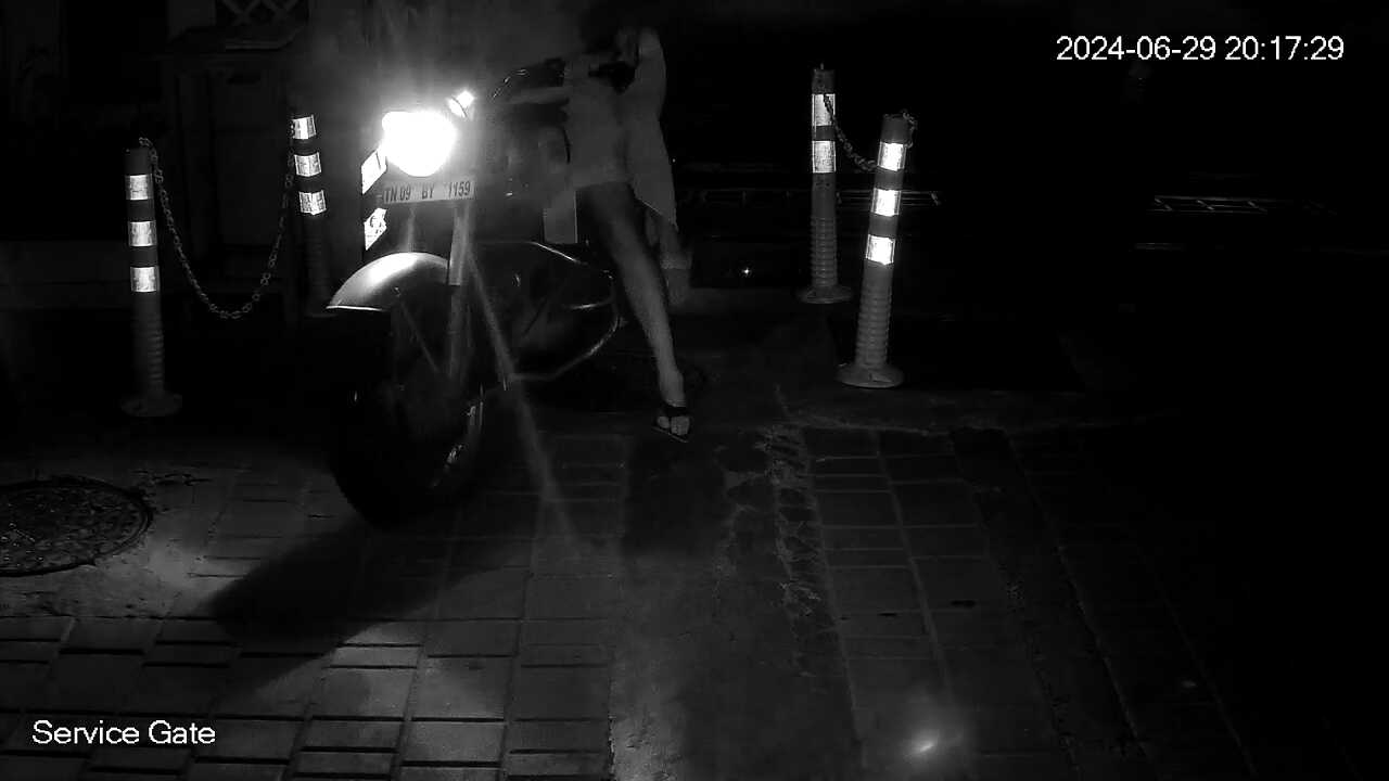 vehicle_number_detection Object Detection Dataset and Pre-Trained Model by rajp