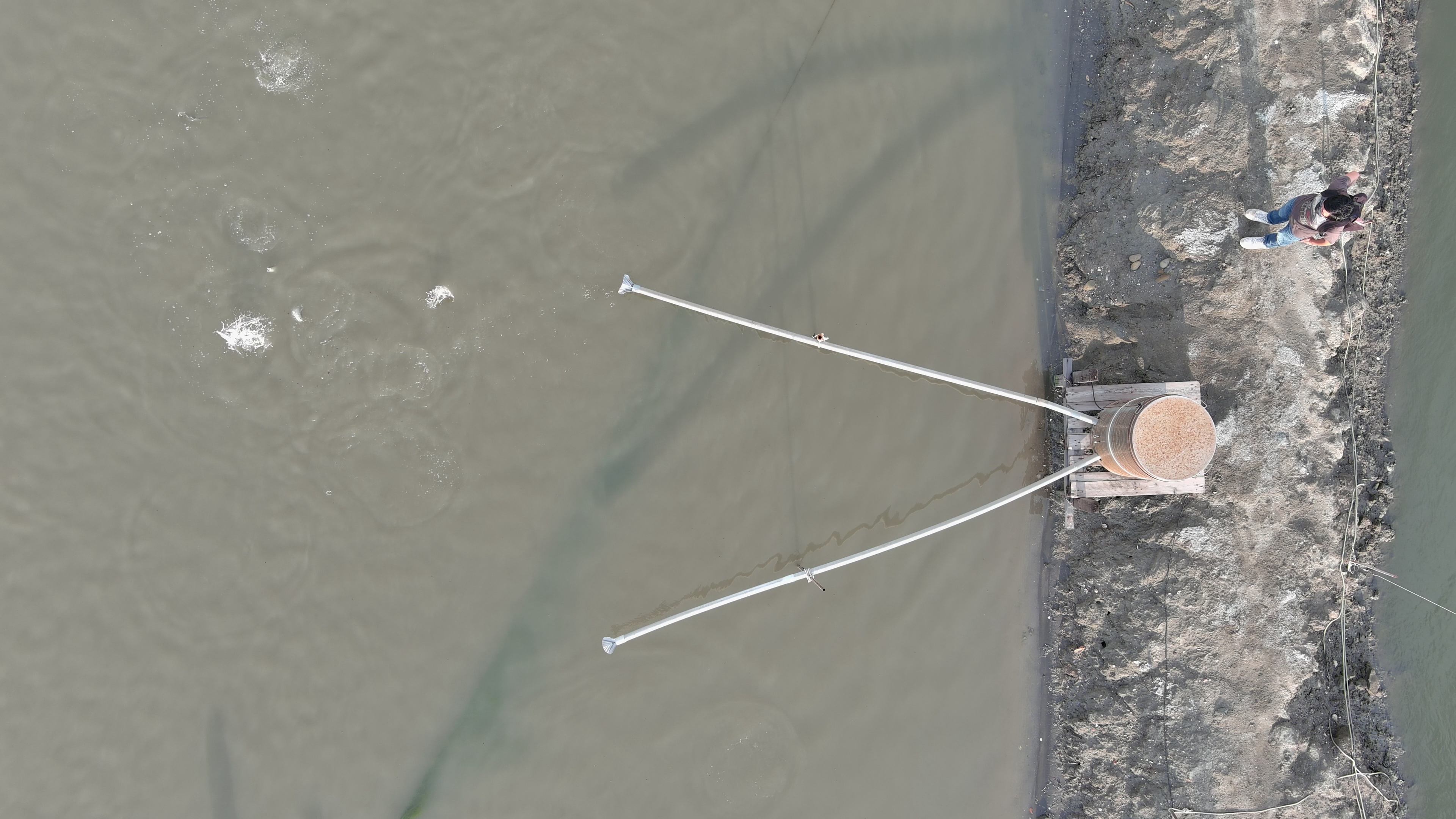 Feeding Classification Dataset By Xupeng