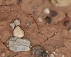 Stone Instance Segmentation Dataset and Pre-Trained Model by heliu