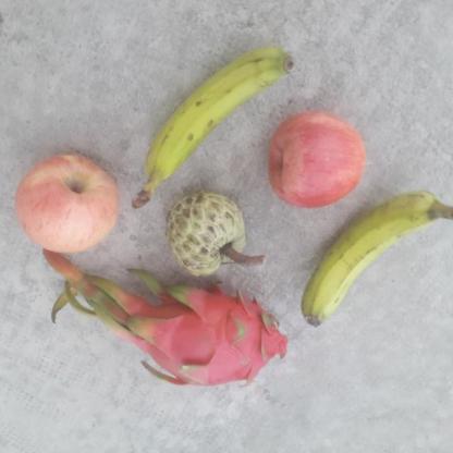 obj-ent Object Detection Dataset by enter