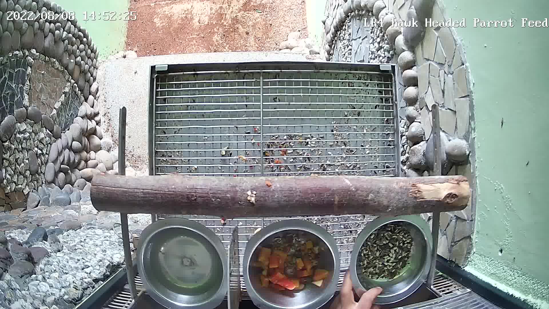 yolov5-zoo Object Detection Model by IIT BHU