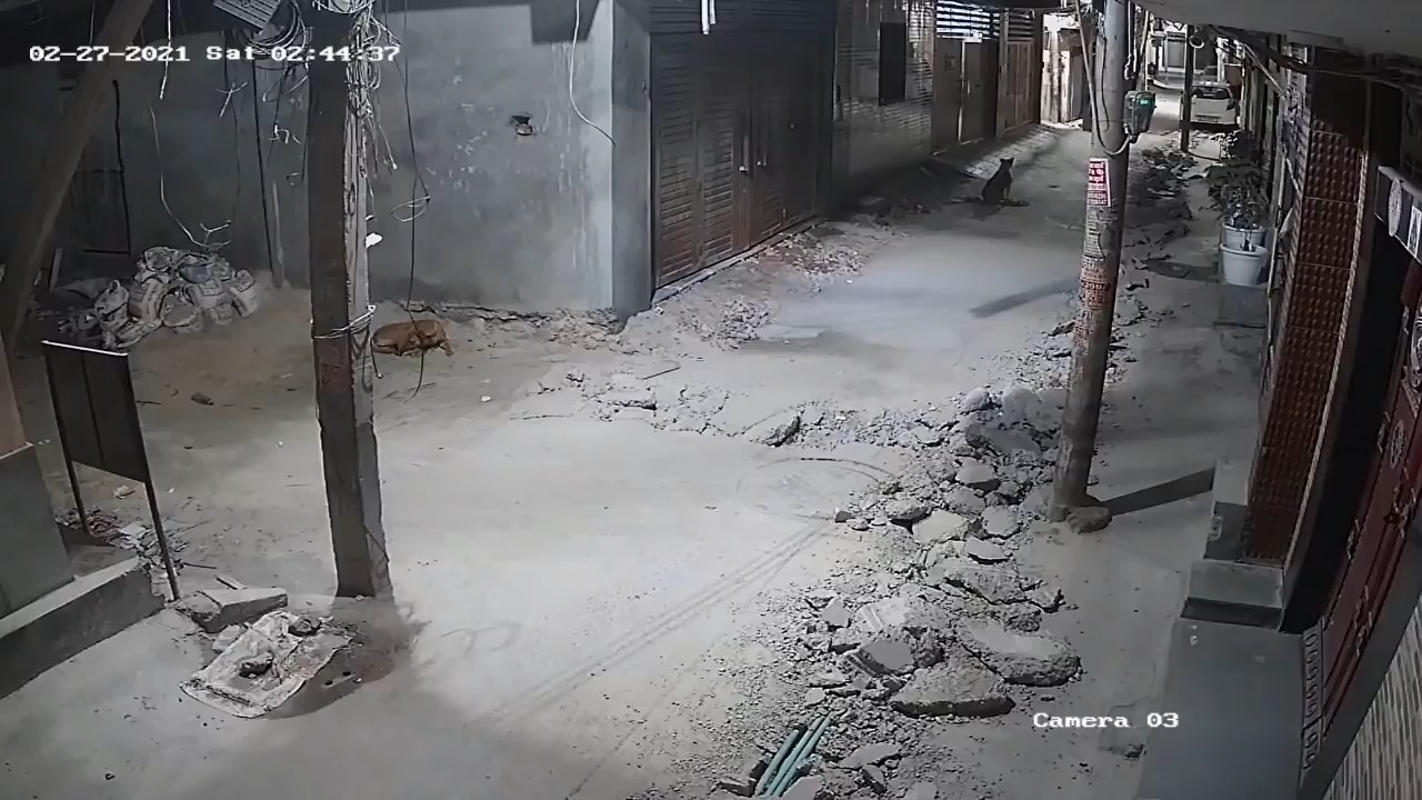 cctv Object Detection Model by Stars